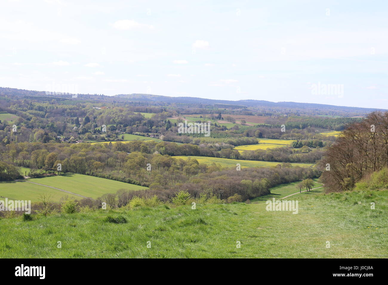 A view over the Surrey Hills from Ranmore Common Stock Photo - Alamy