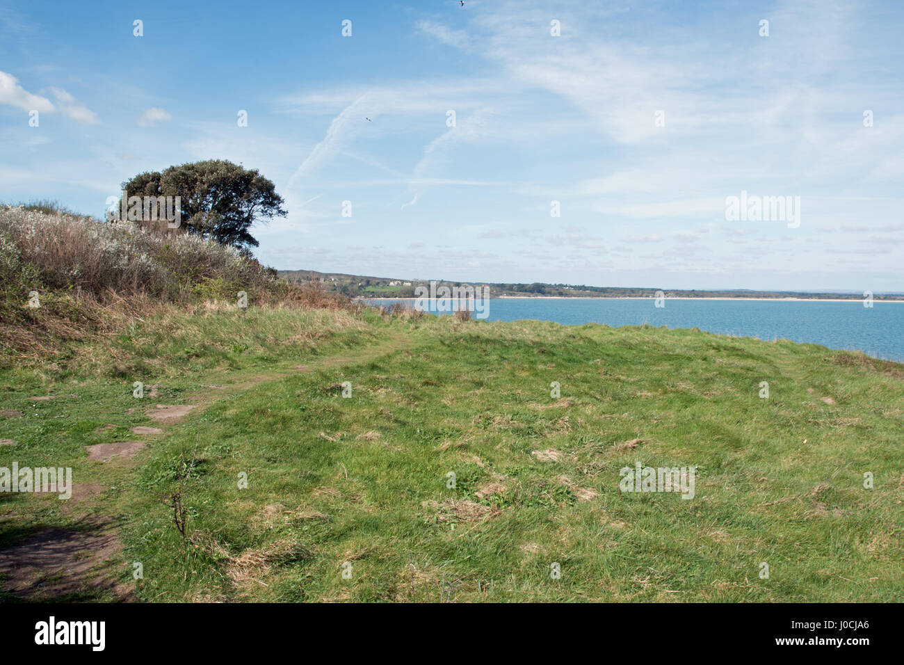 Knoll beach uk studland hi-res stock photography and images - Alamy