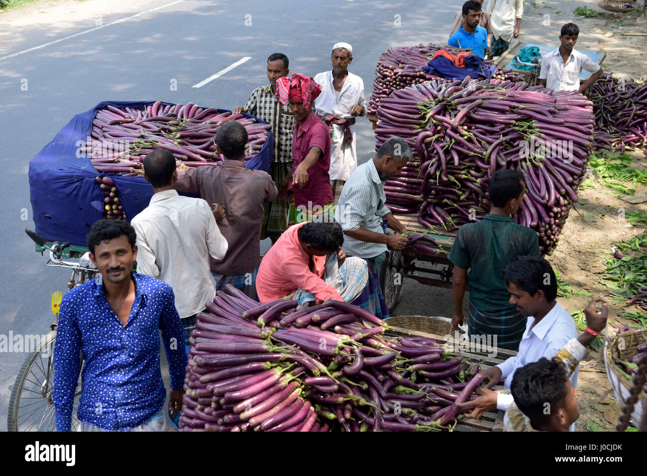 DHAKA, BANGLADESH - APRIL 11, 2017: A Bangladeshi trader loads Brinjal ...