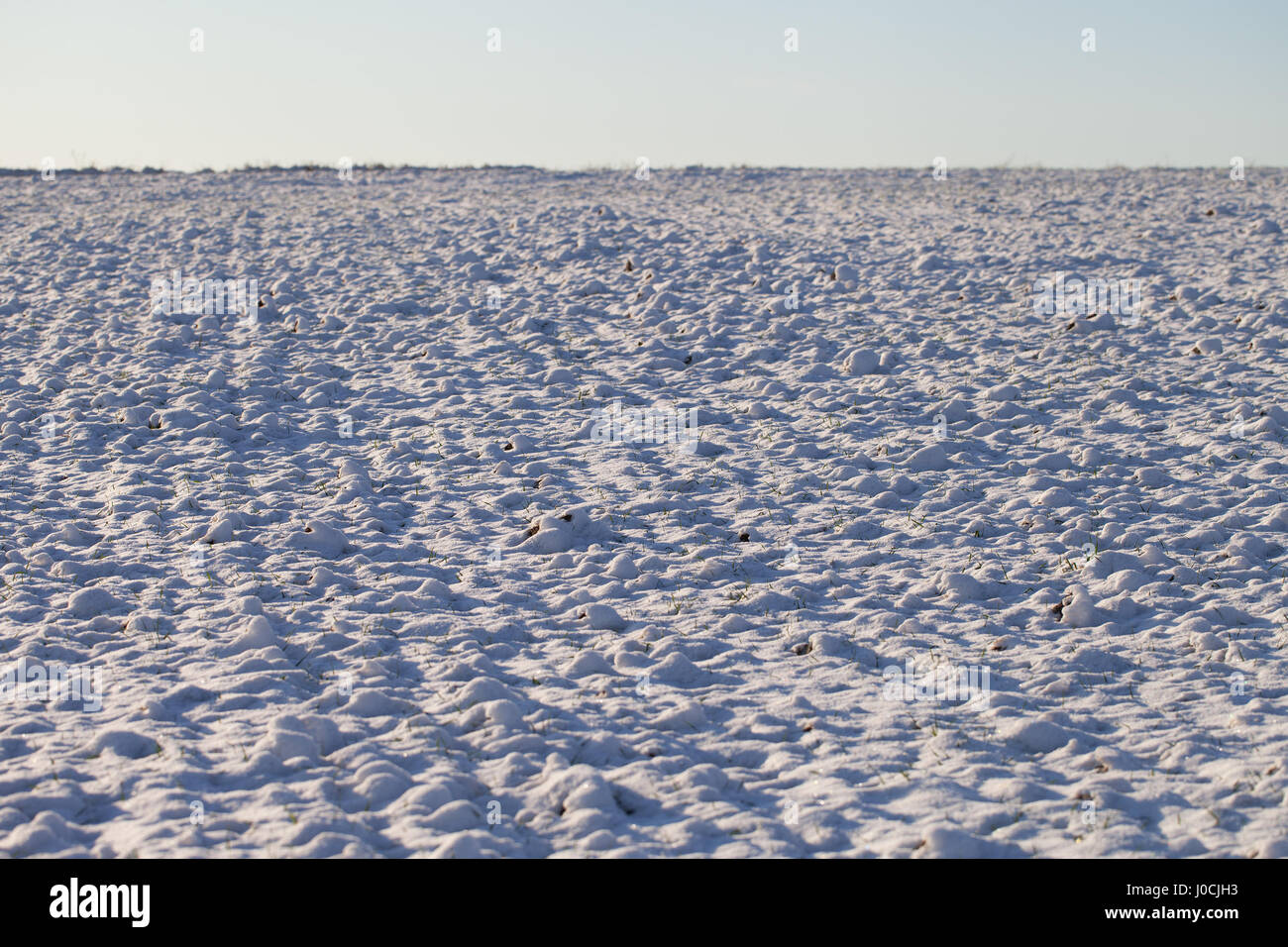 Fresh snow on land Stock Photo - Alamy