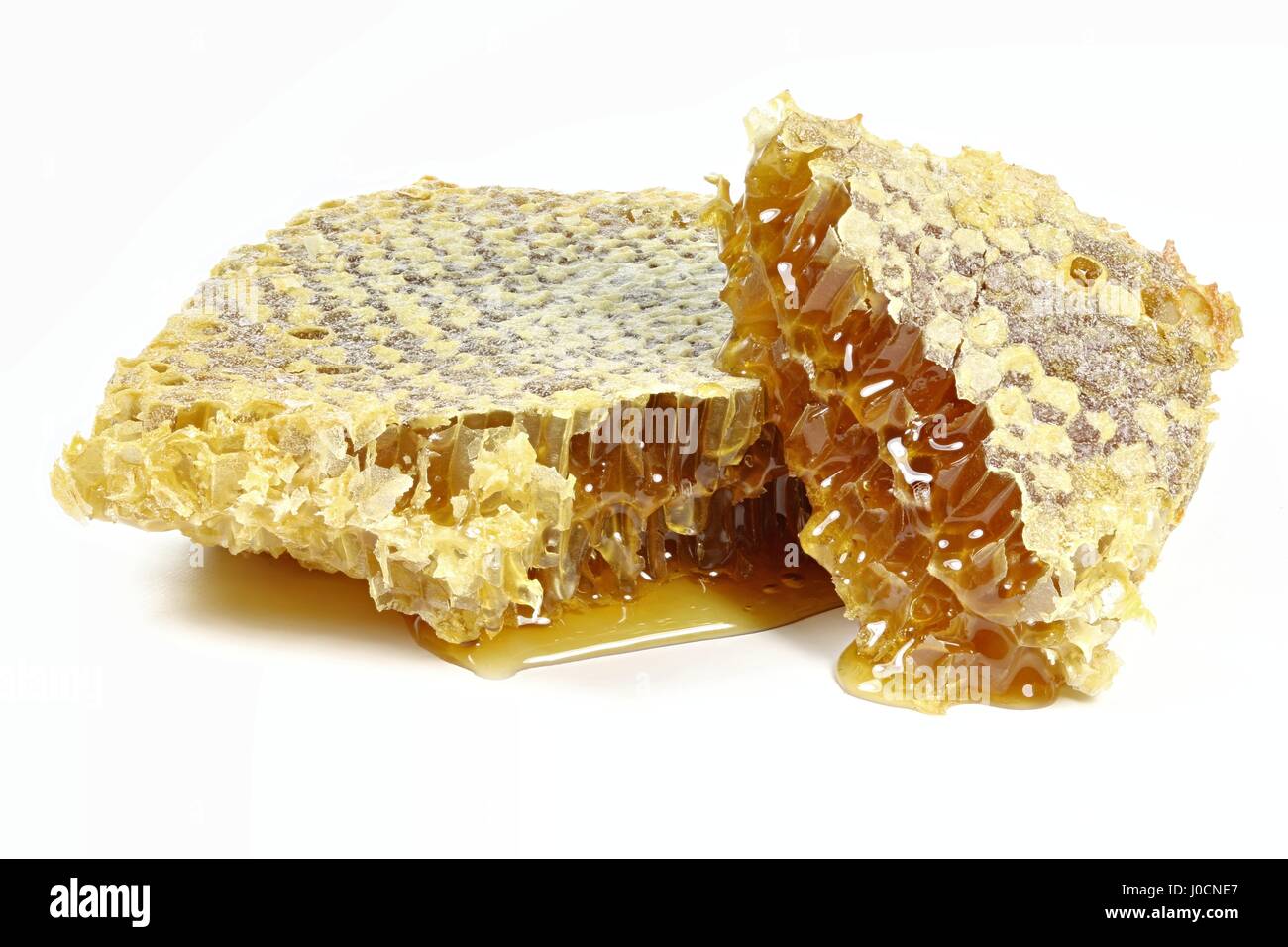Honeycomb bee isolated on Cut Out Stock Images & Pictures - Alamy