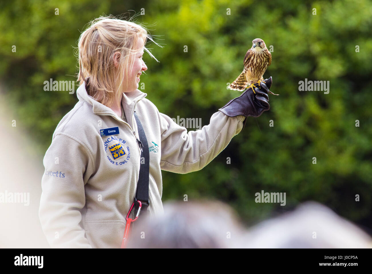 Bird handler hi-res stock photography and images - Alamy