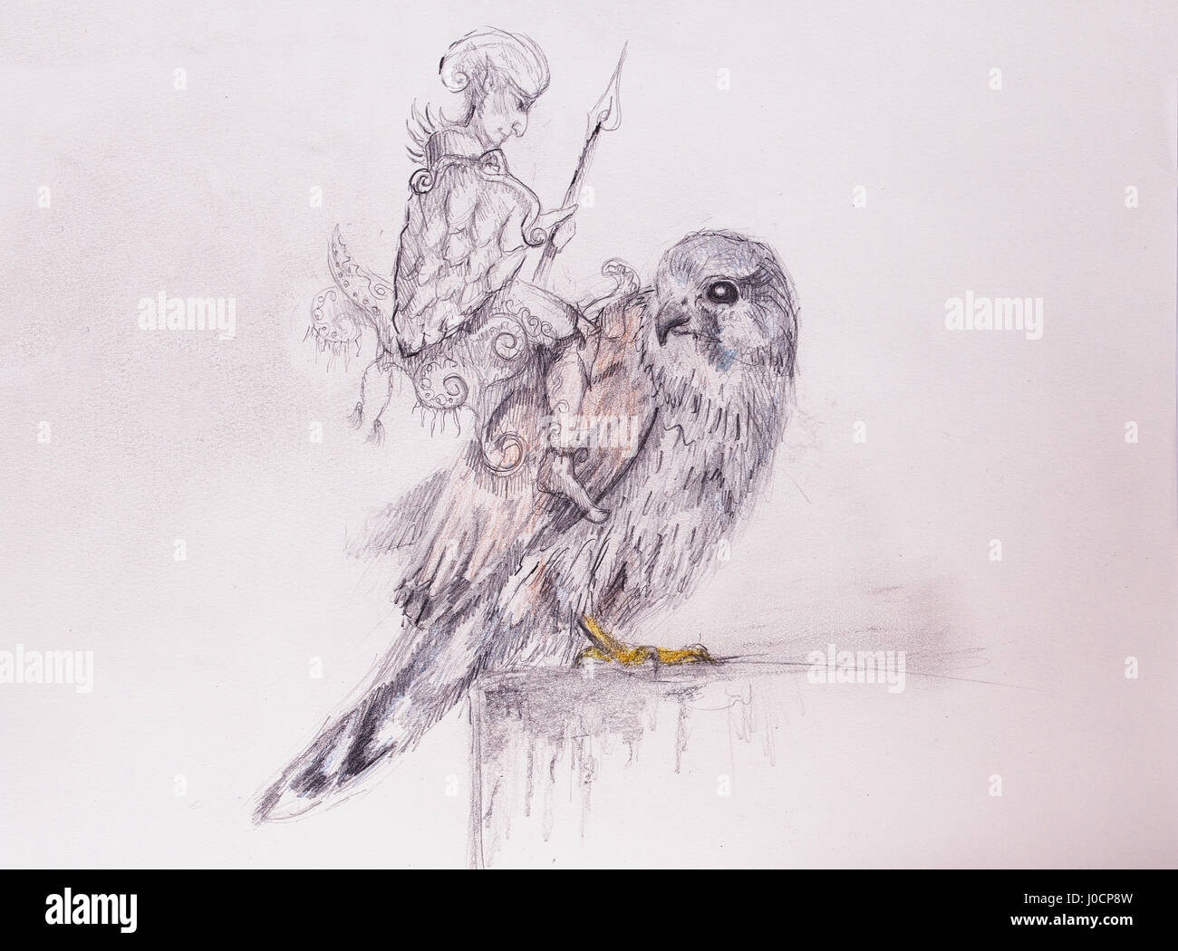 Elf Warrior on hawk. pencil drawing on old paper Stock Photo - Alamy