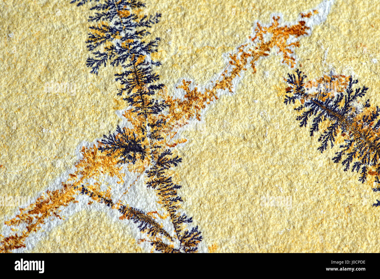 Dendrite sandstone hi-res stock photography and images - Alamy