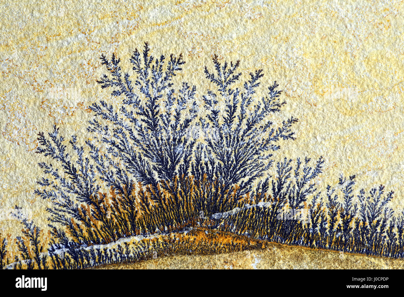 Dendrite fossil hi-res stock photography and images - Alamy