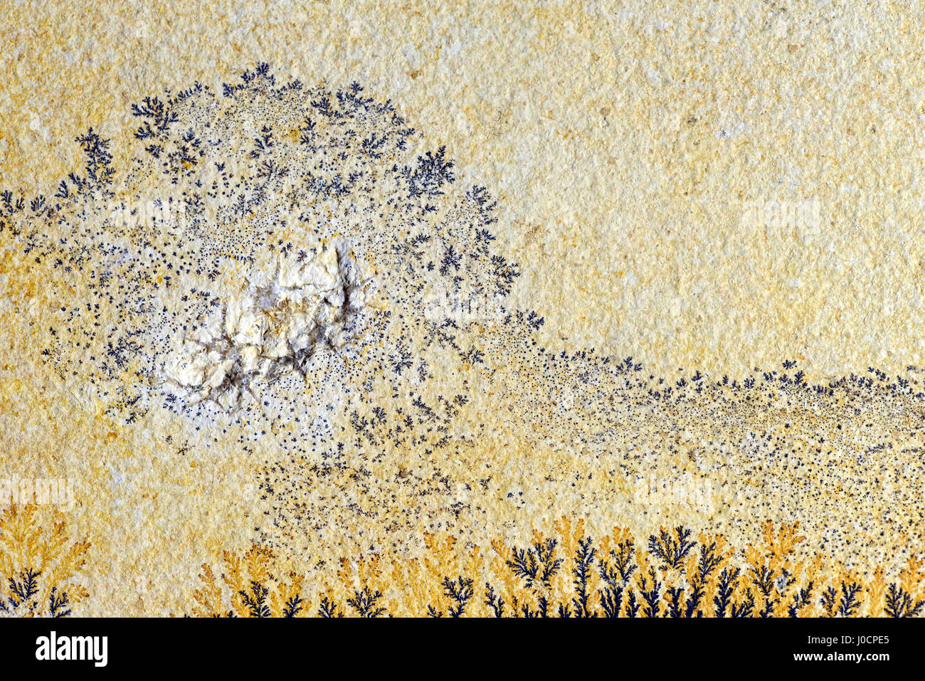 Dendrite fossil hi-res stock photography and images - Alamy
