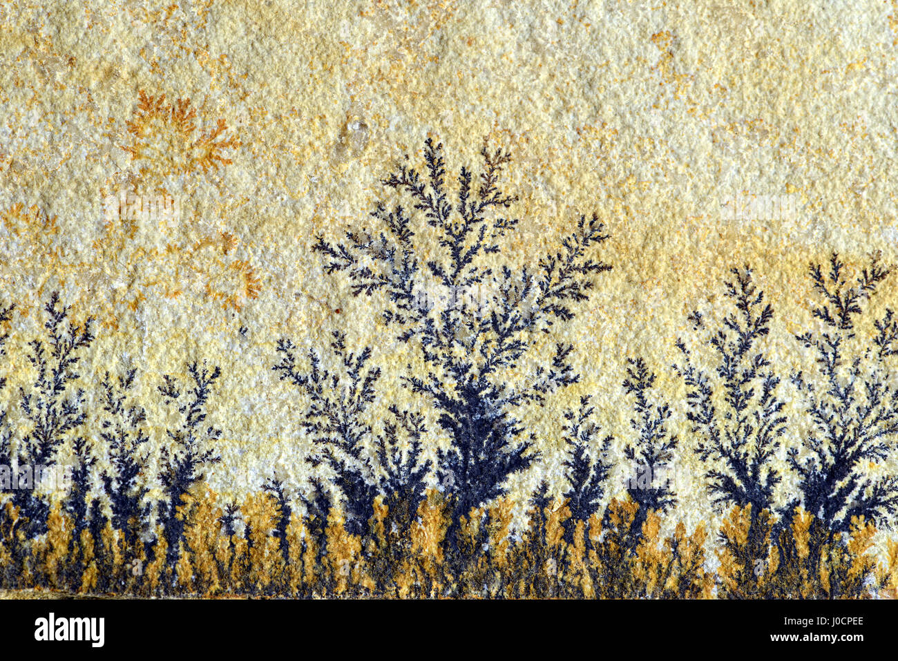 Dendrite sandstone hi-res stock photography and images - Alamy