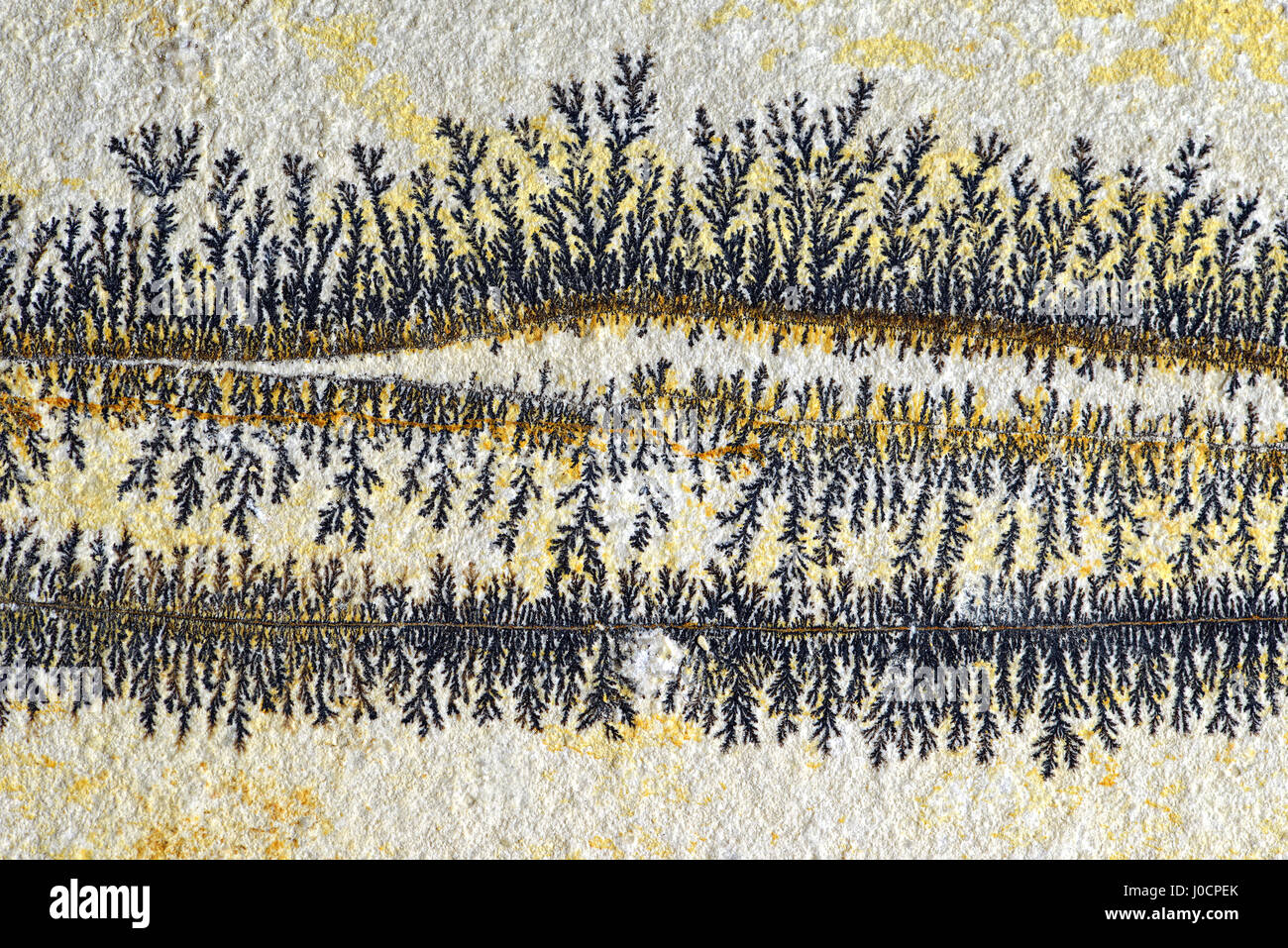 Dendrite sandstone hi-res stock photography and images - Alamy