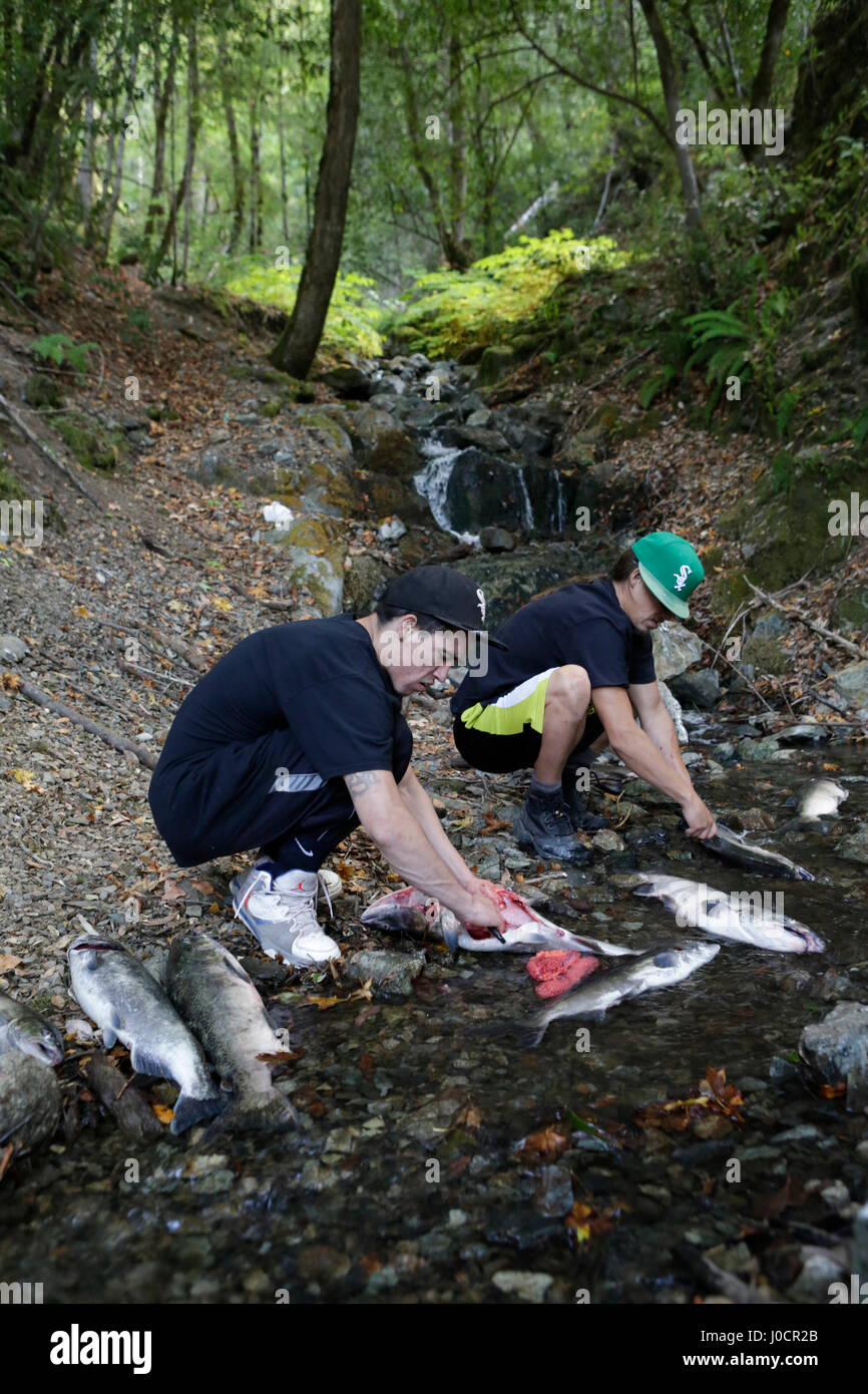 Karuk tribal fishery workers Jerry Brink (left) and Clayton Tuttle ...