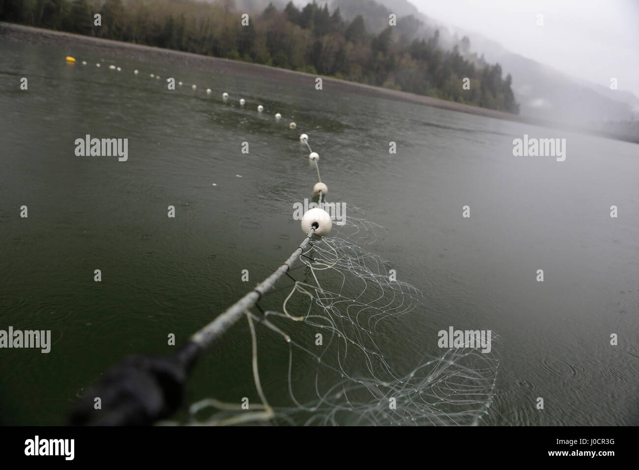 A gill net drifts in the Klamath River on February 23, 2015. Yurok ...