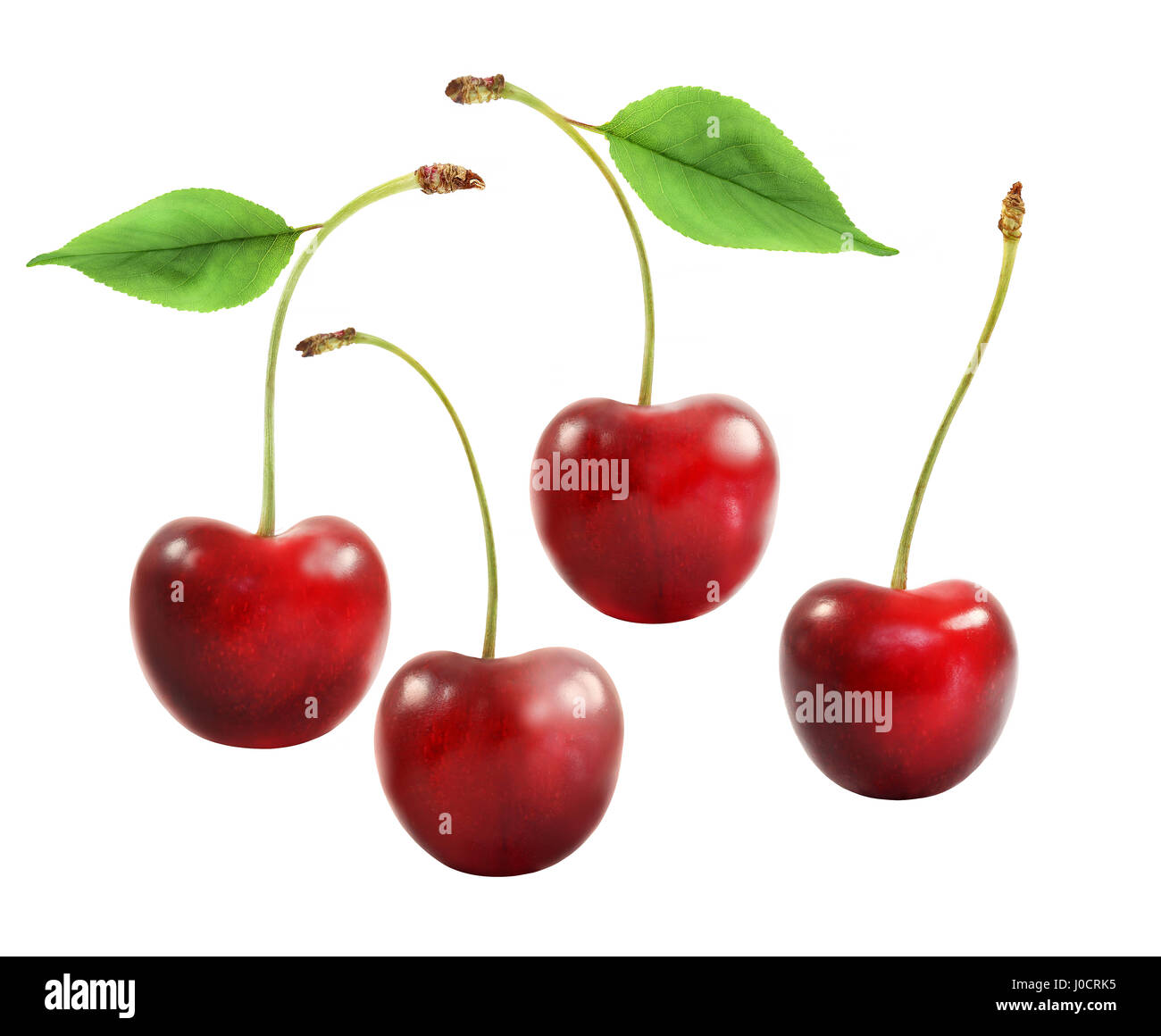 Cherry fruit icon hi-res stock photography and images - Alamy