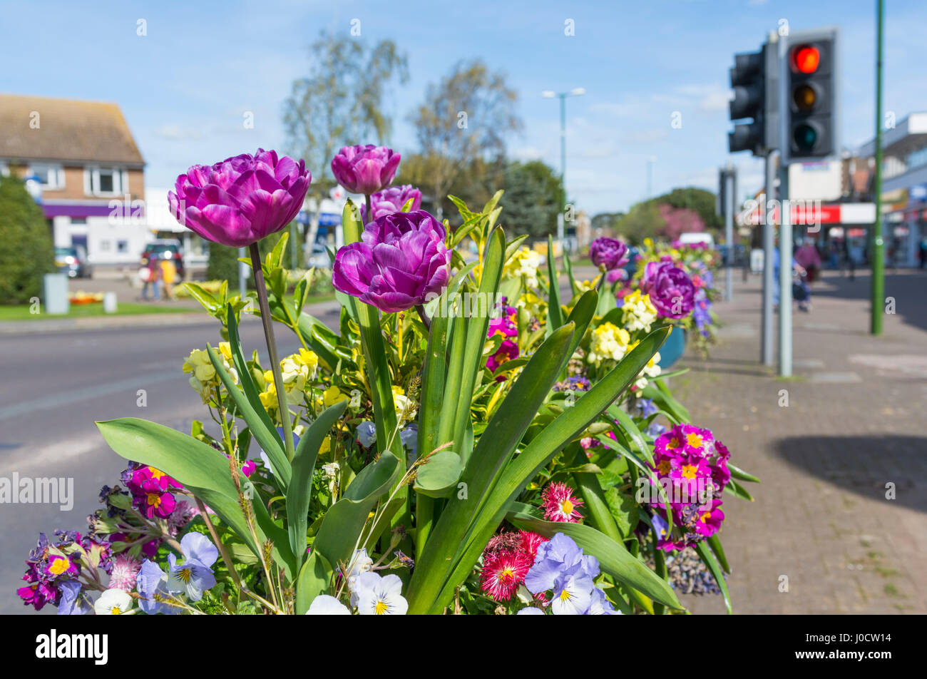 Rustington sussex hi-res stock photography and images - Alamy