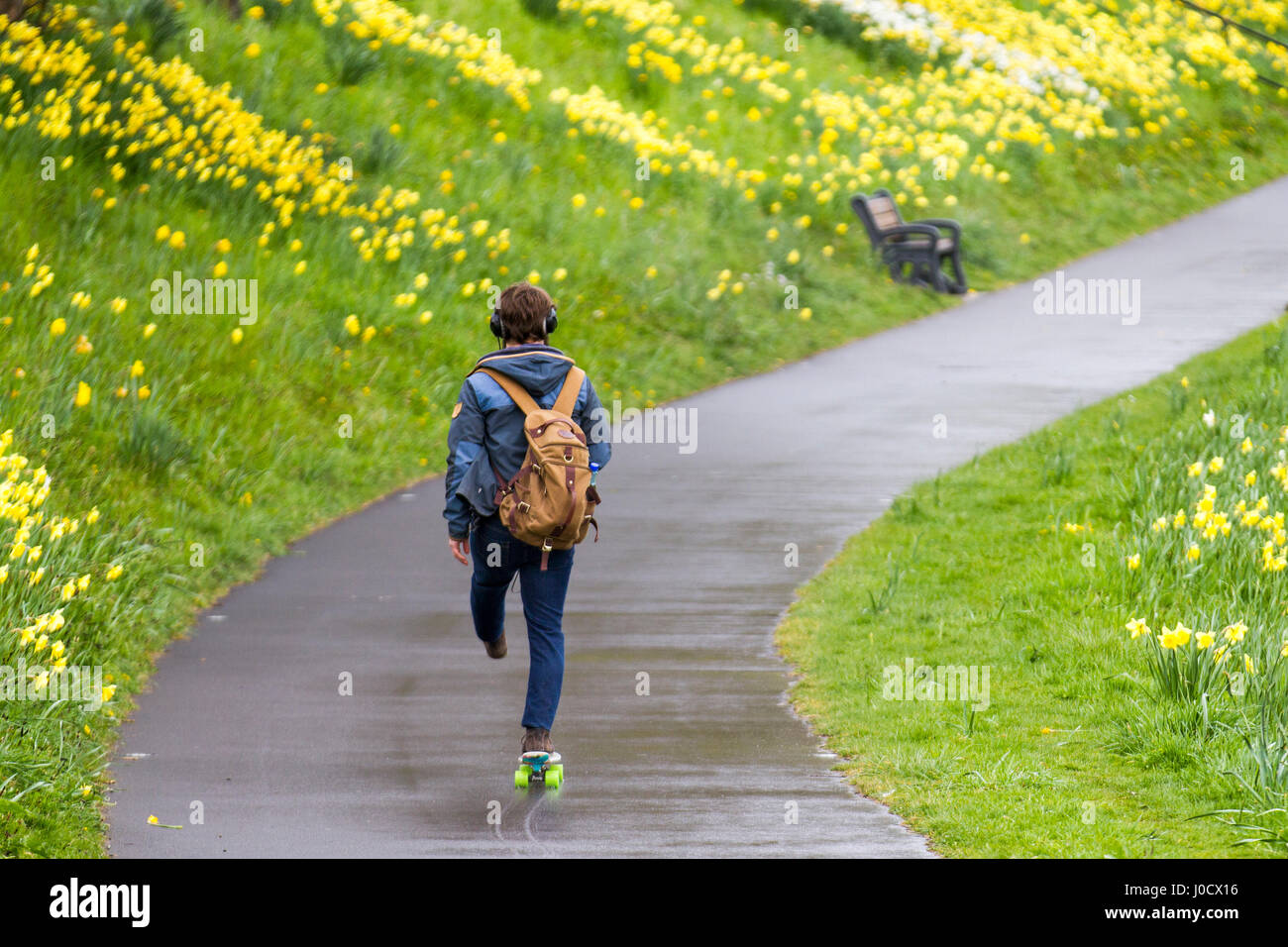 April Sunshine and spring daffodils at Riverside Park Aberdeen, as ...