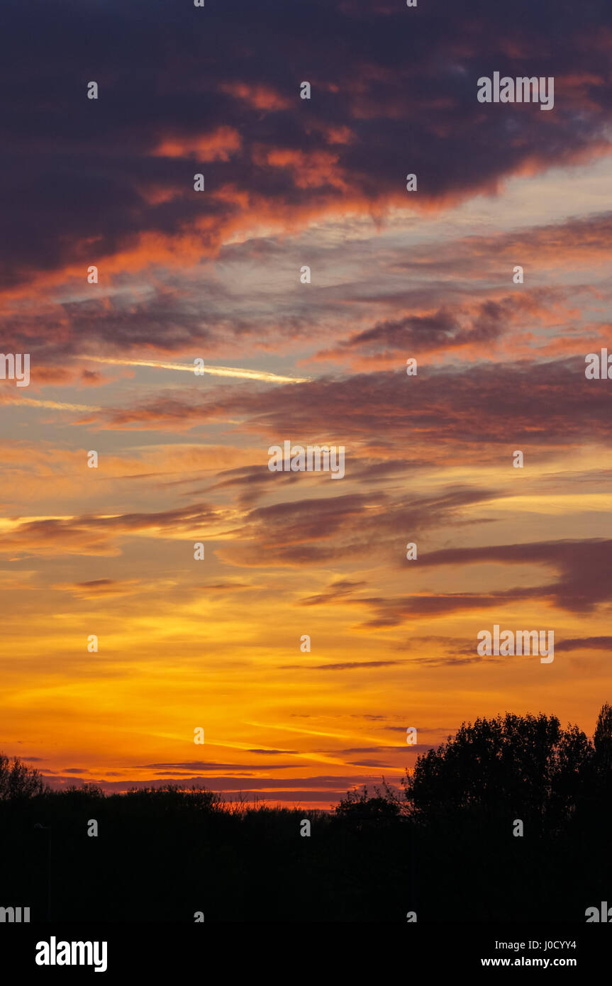 Colourful colour colours colorful colors hi-res stock photography and ...