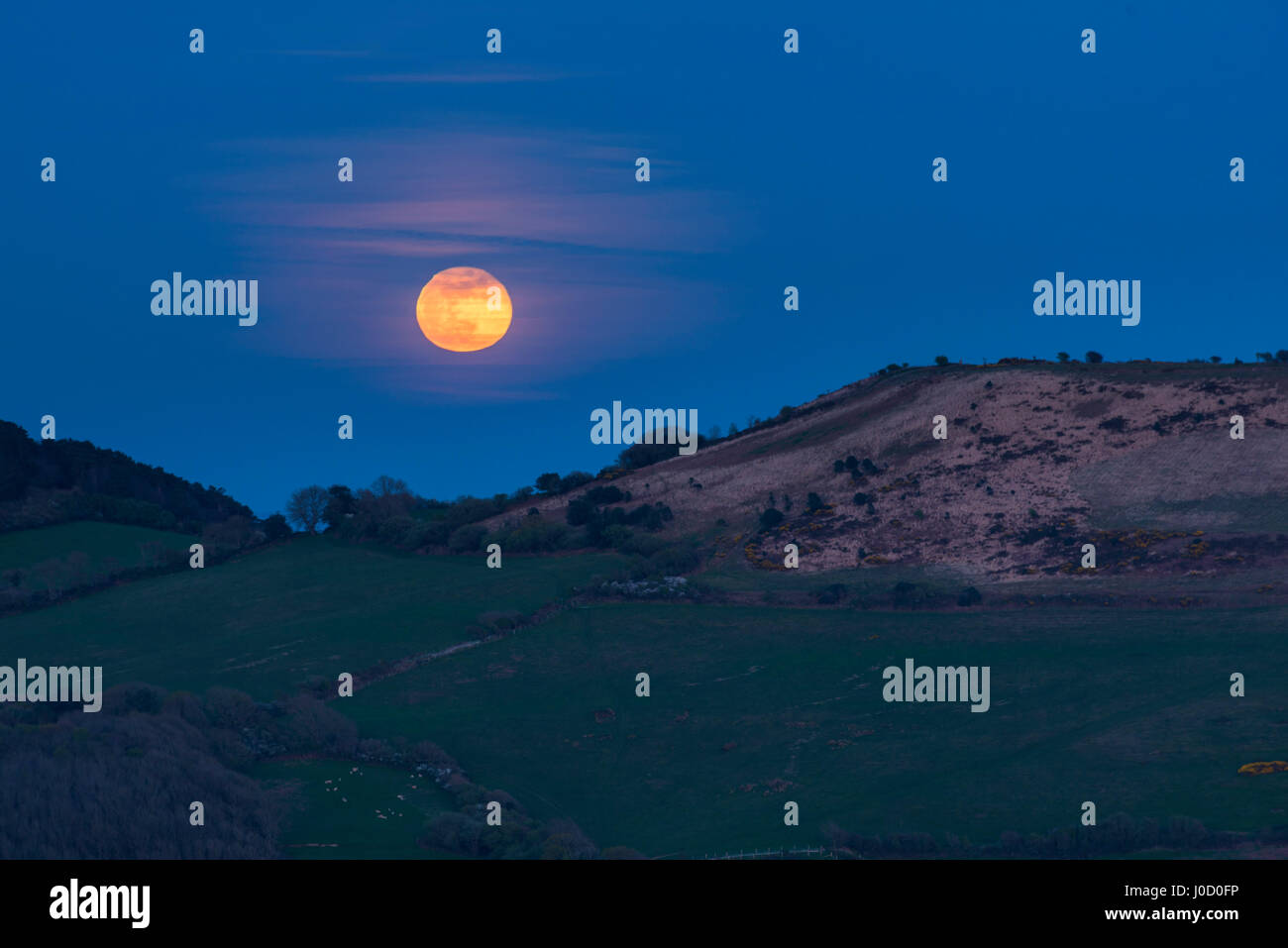 Charmouth, Dorset, UK. 11th April 2017. UK Weather. The full moon ...