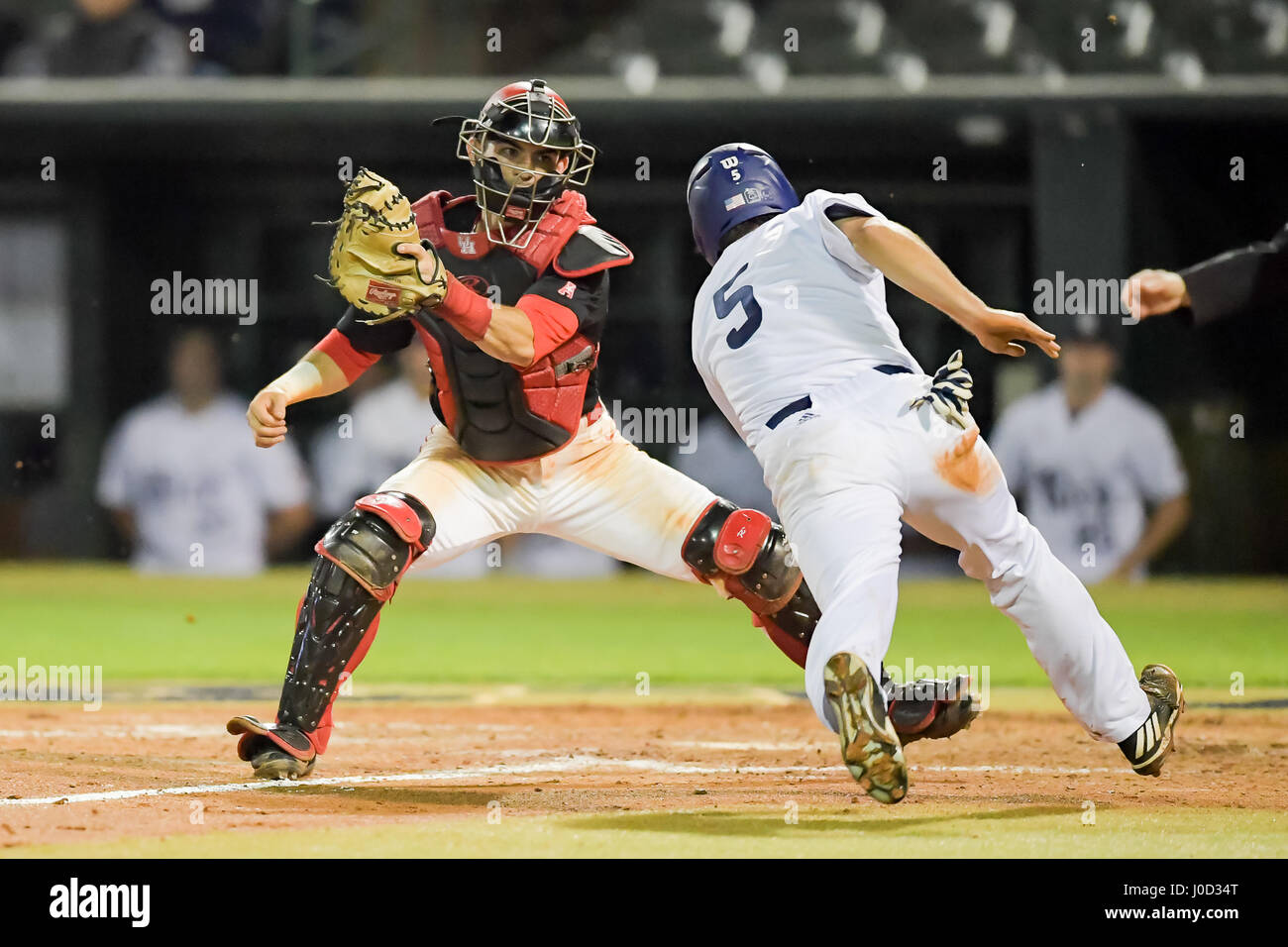 Houston, TX, USA. 11th Apr, 2017. TX. Credit Image: Maria Lysaker/Cal ...