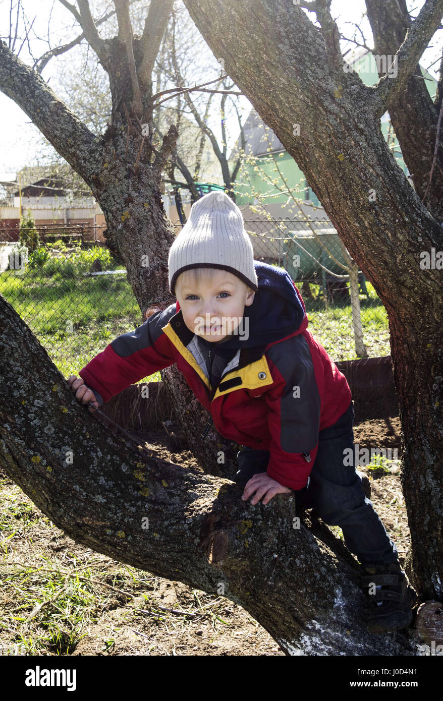 April 9, 2017 - Portrait of cute kid boy sitting on the big old tree on ...