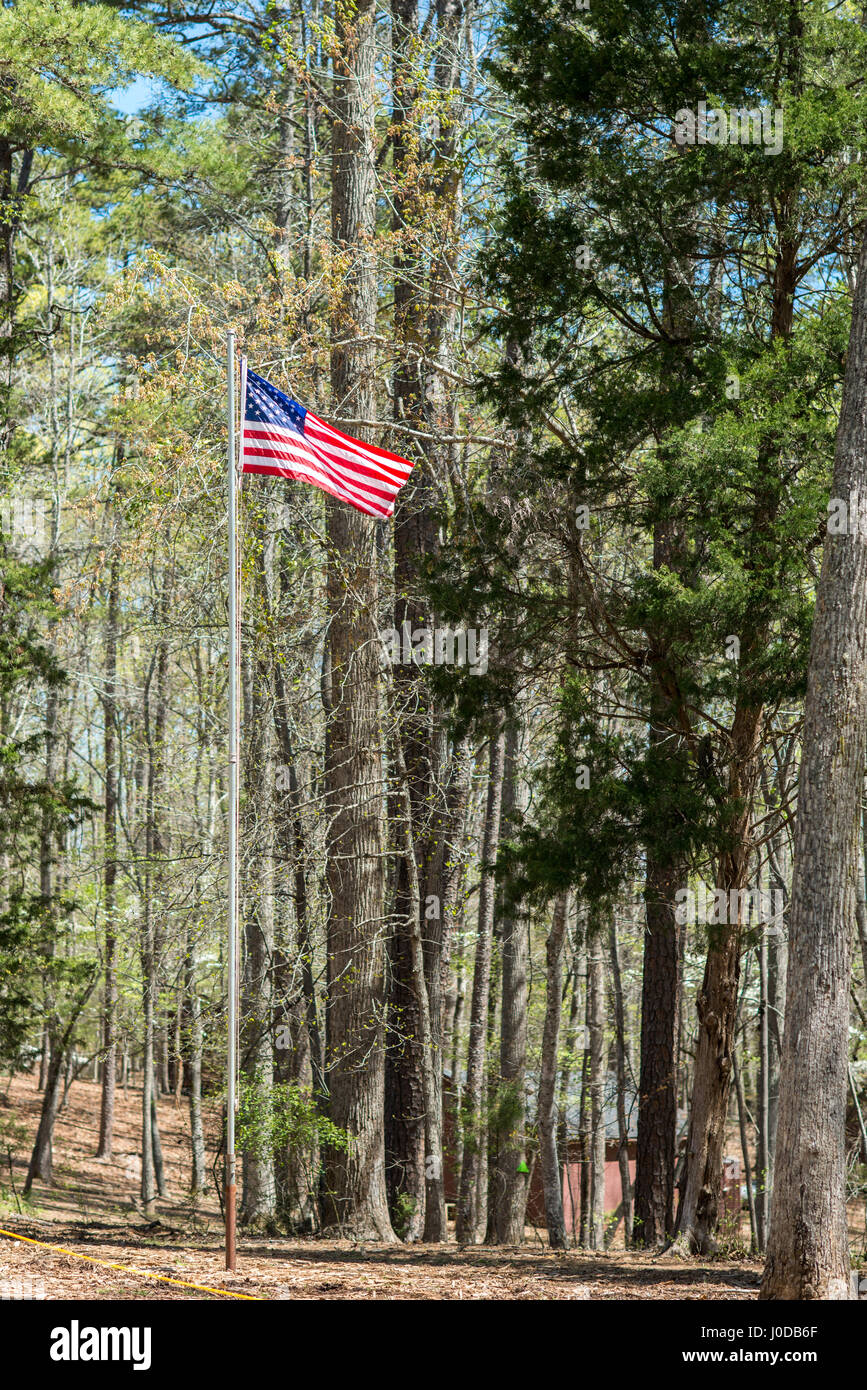 American flag blowing in wind on a spring day in the woods at ...