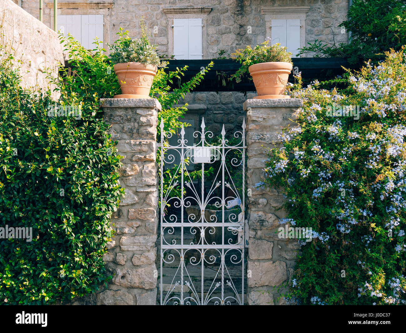 Open Vineyard Gates High Resolution Stock Photography and Images - Alamy