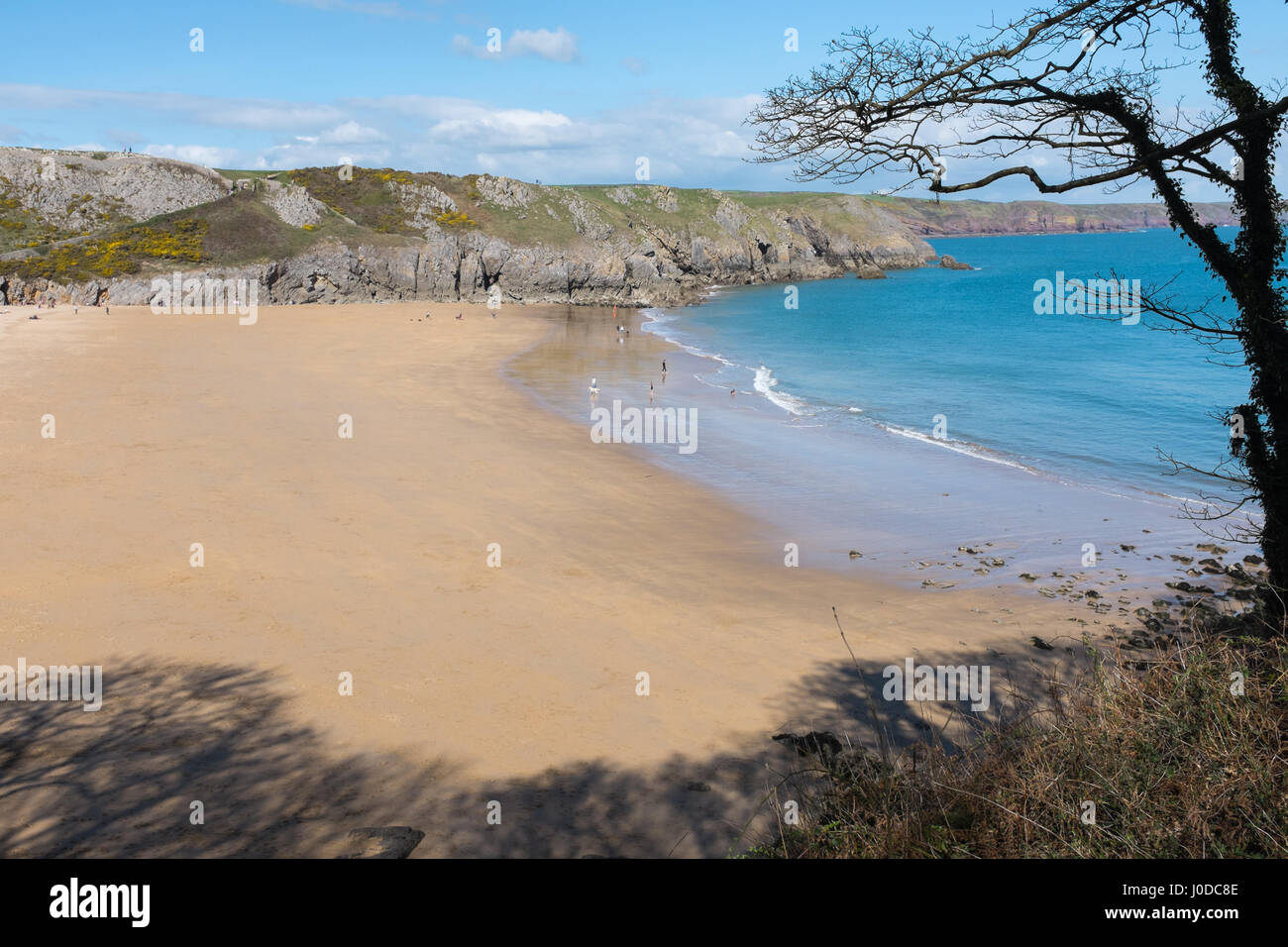 Barafundle Bay Beach in Pembrokeshire, Wales Stock Photo - Alamy