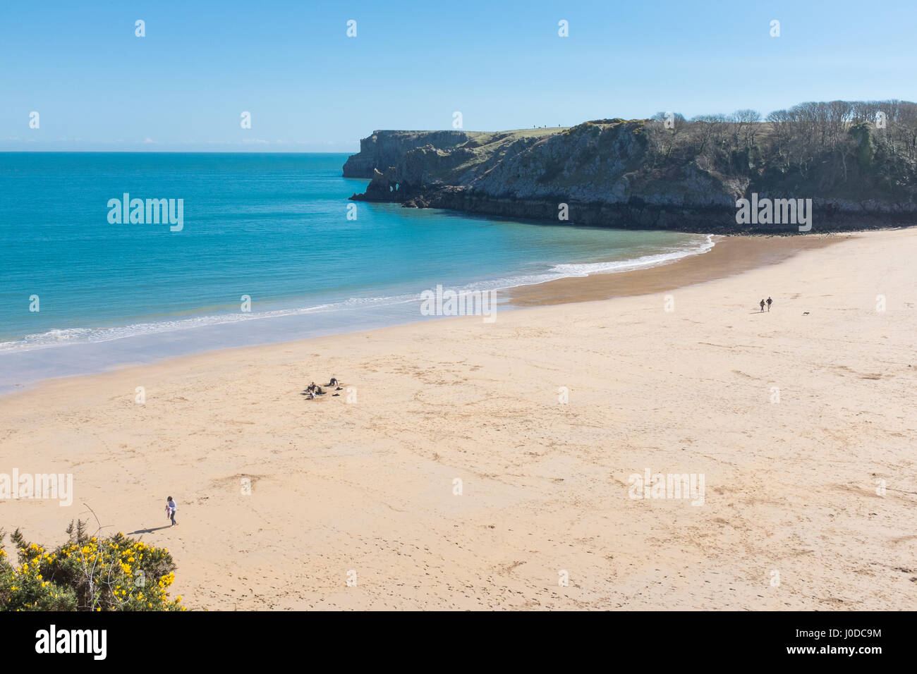 Barafundle Bay Beach in Pembrokeshire, Wales Stock Photo - Alamy