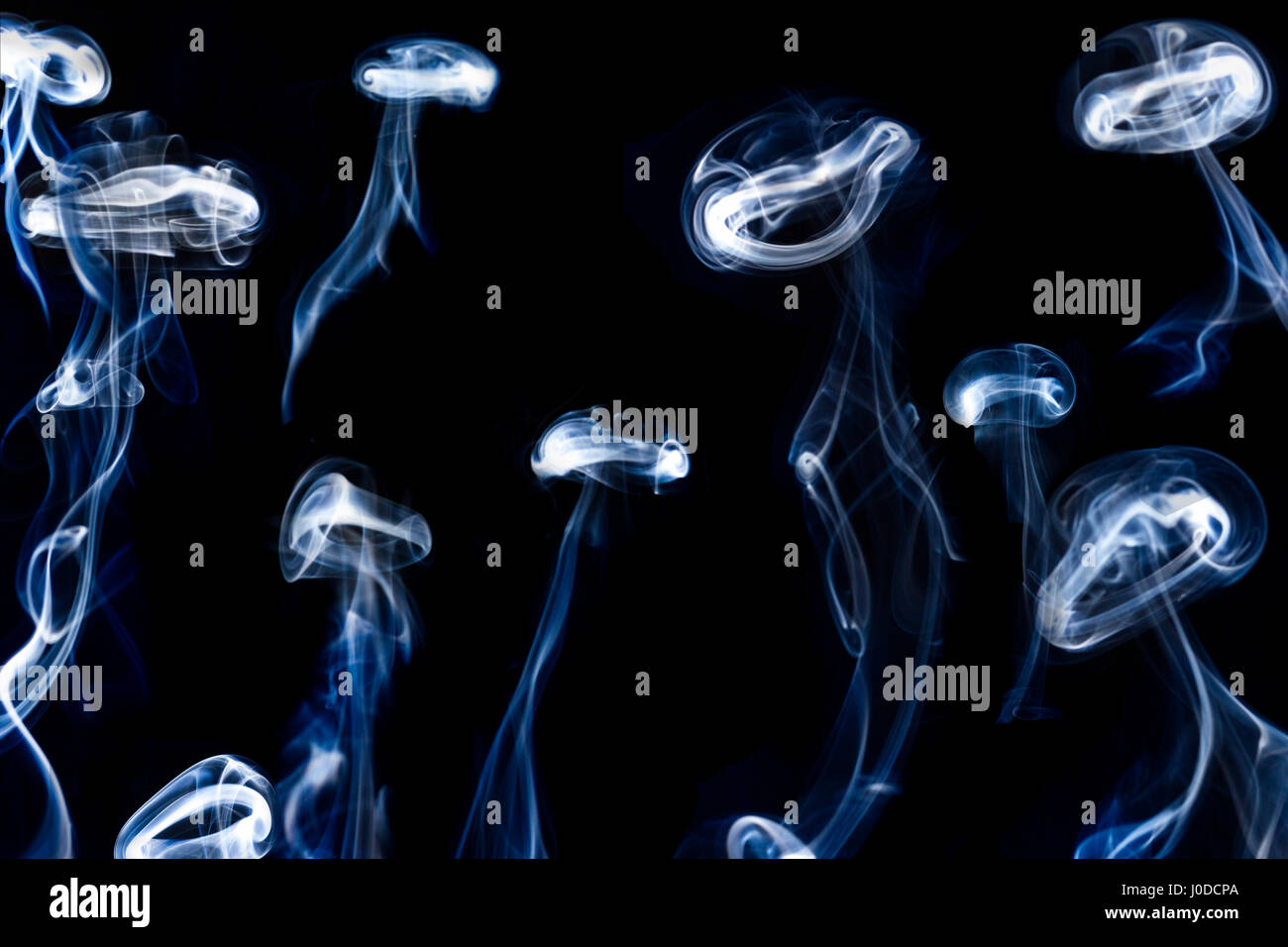 Smoke medusa on a black font. This photo is a minimalist representation ...