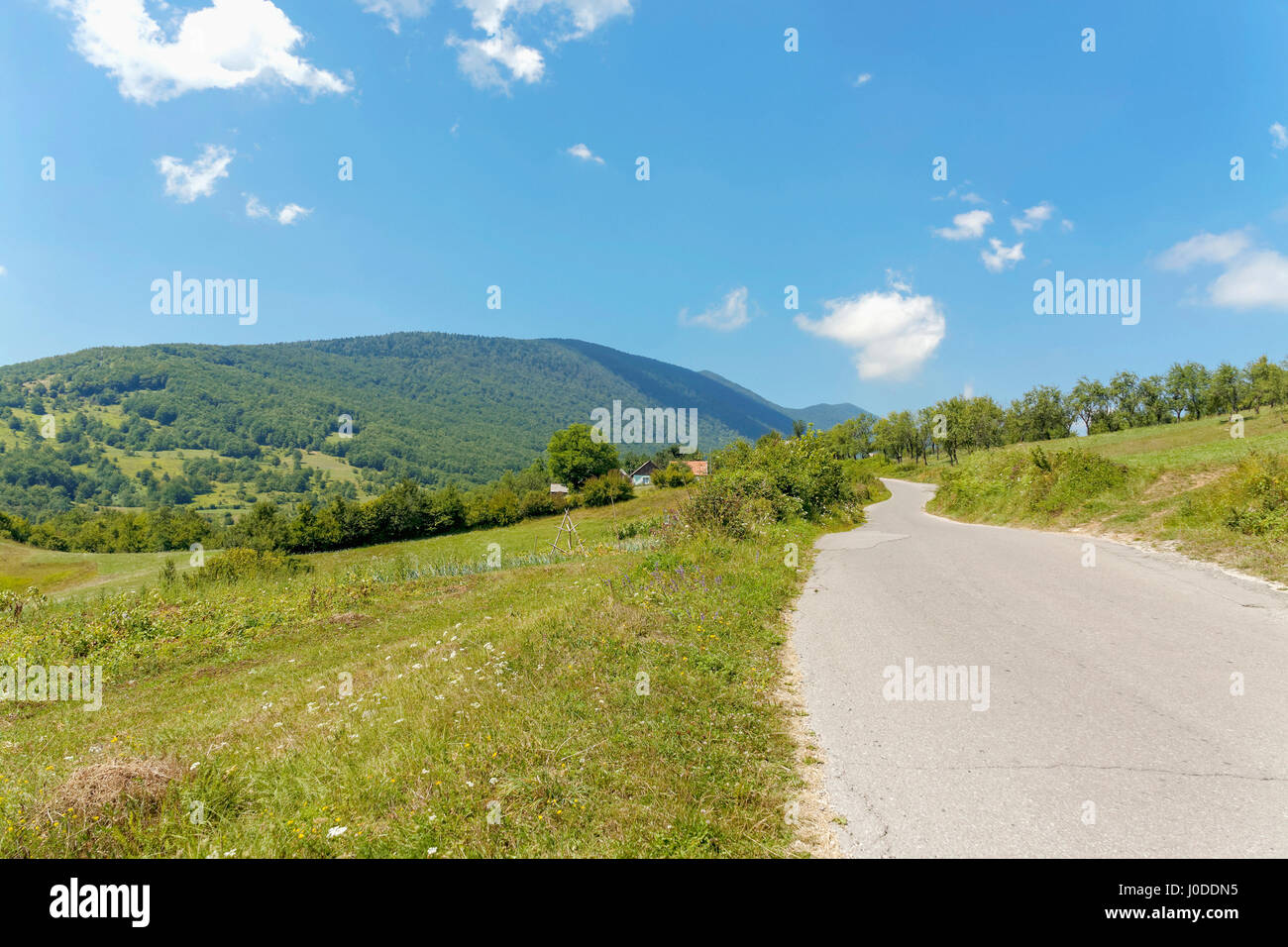 Road leading to Kuterevo village, Croatia Stock Photo - Alamy