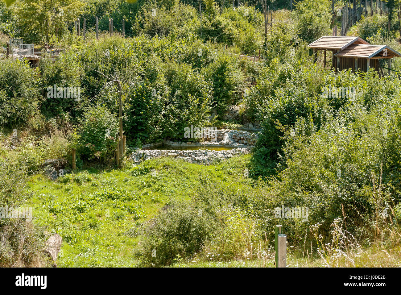 Bear refuge in Kuterevo village, Croatia Stock Photo - Alamy