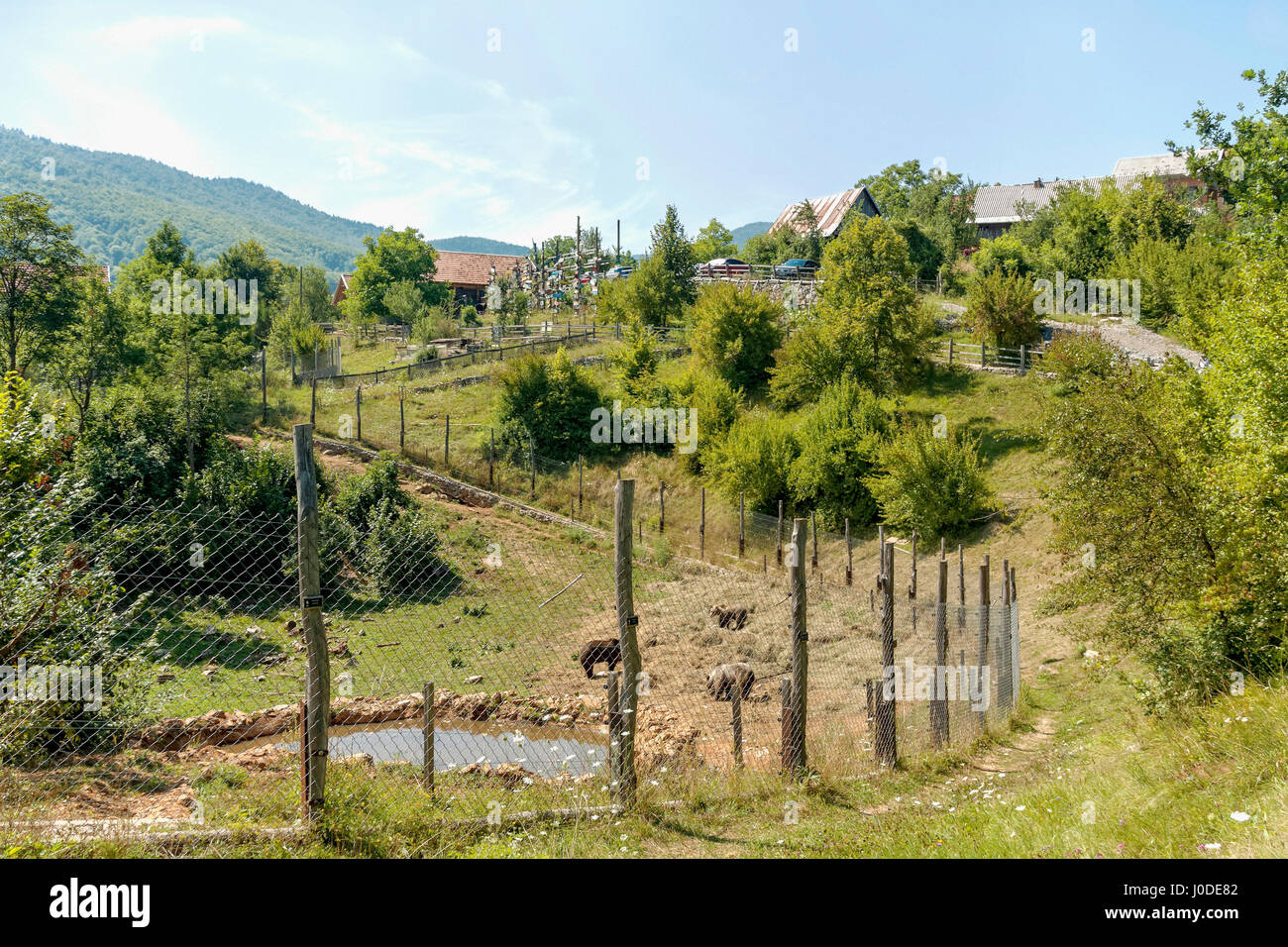 Bear refuge in Kuterevo village, Croatia Stock Photo - Alamy