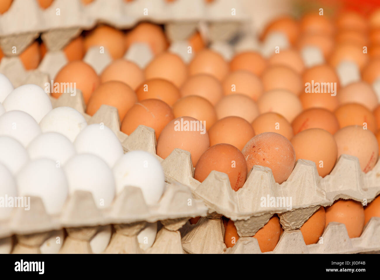 fresh eggs at the market Stock Photo - Alamy