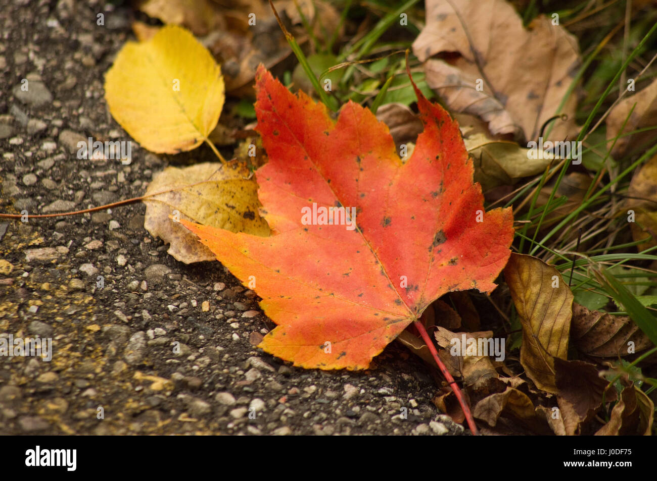 Blacktop background hi-res stock photography and images - Alamy