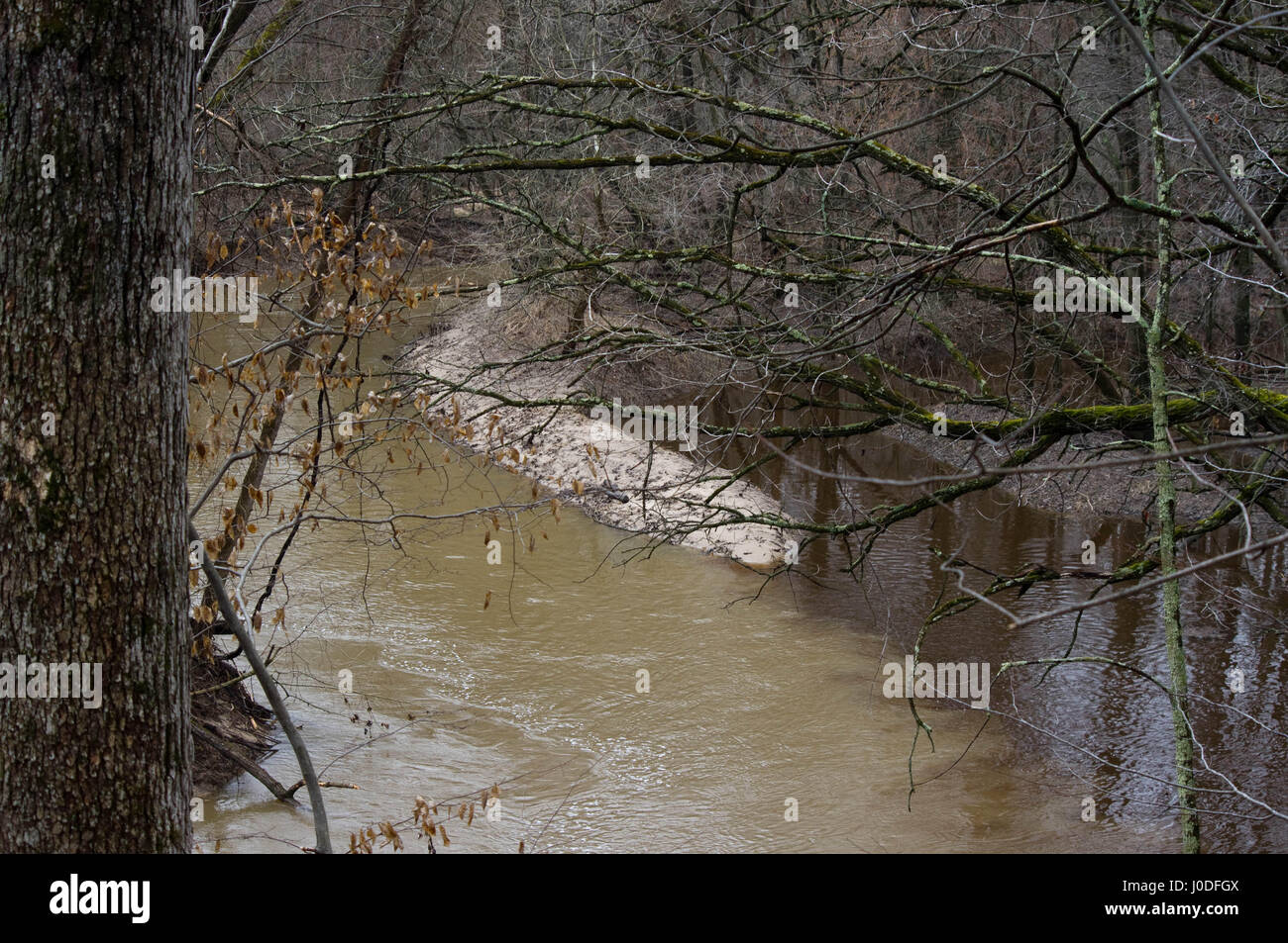 two rivers one cloudy one clear joining together in a forest setting ...