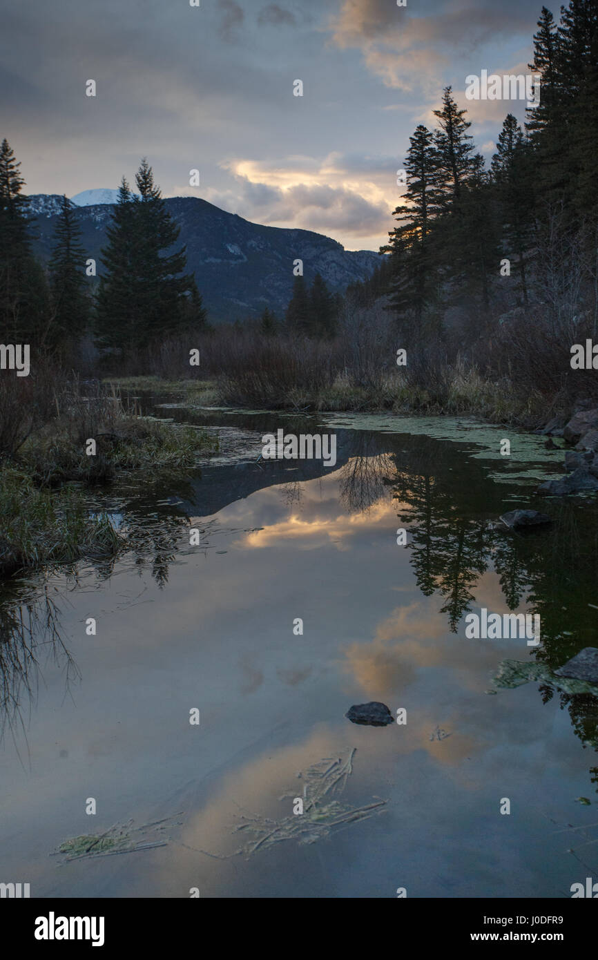 Gallatin national forest hi-res stock photography and images - Alamy