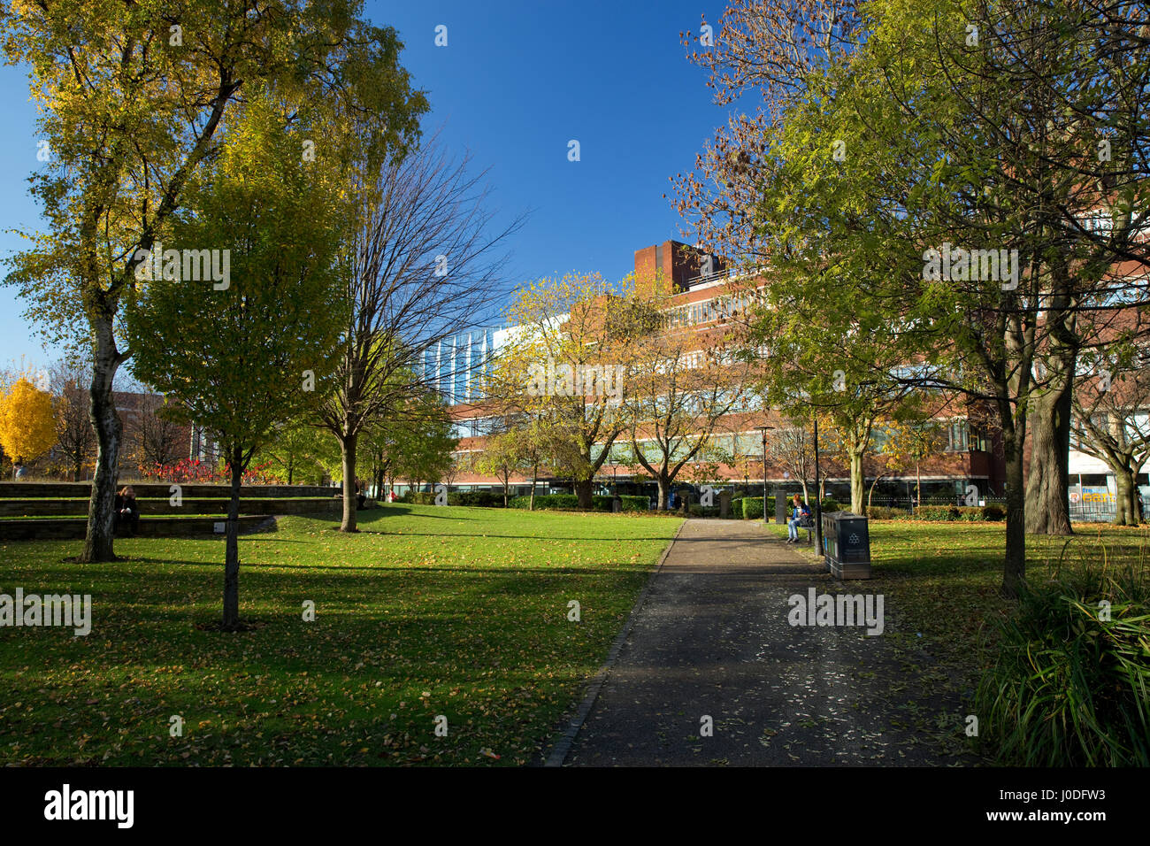 Manchester university phd hi-res stock photography and images - Alamy
