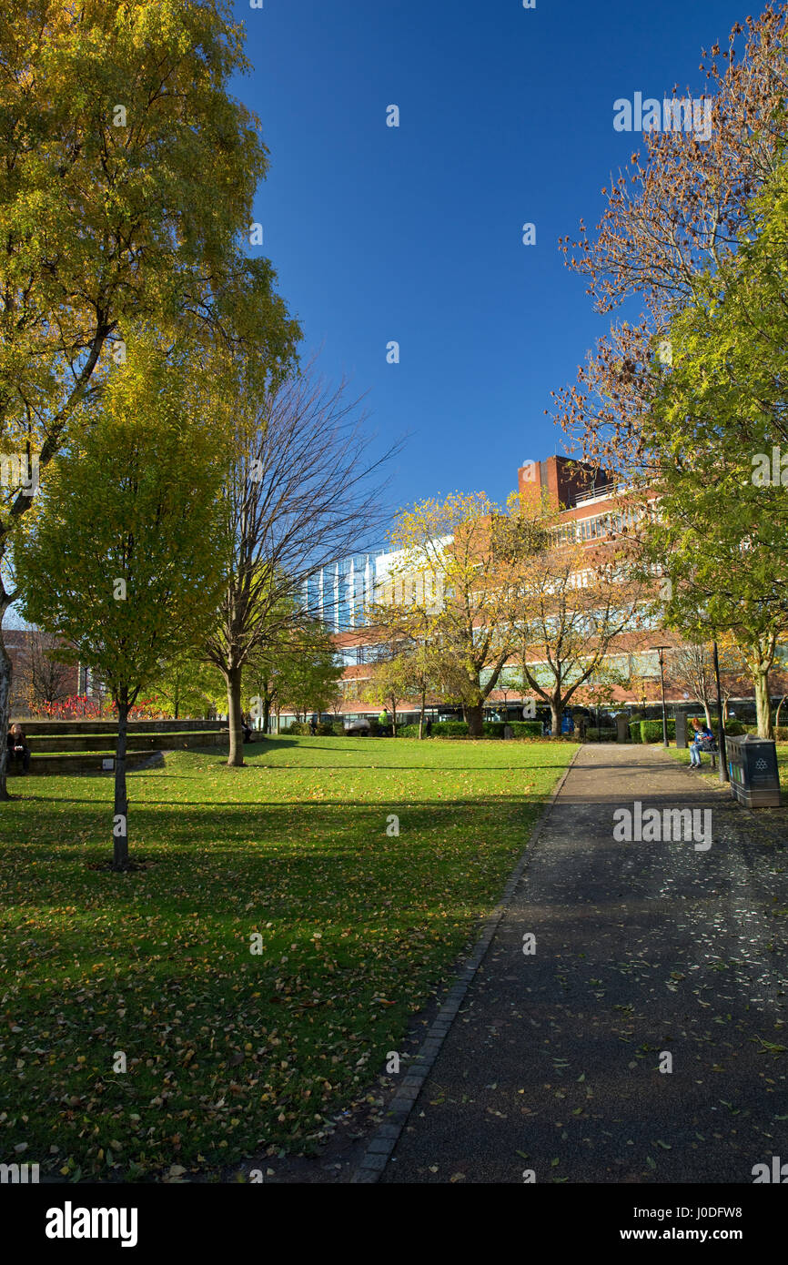 Manchester university phd hi-res stock photography and images - Alamy