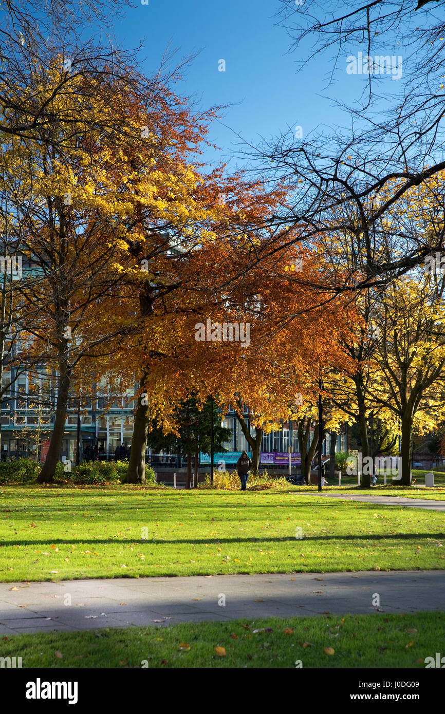 Manchester university main campus hi-res stock photography and images ...