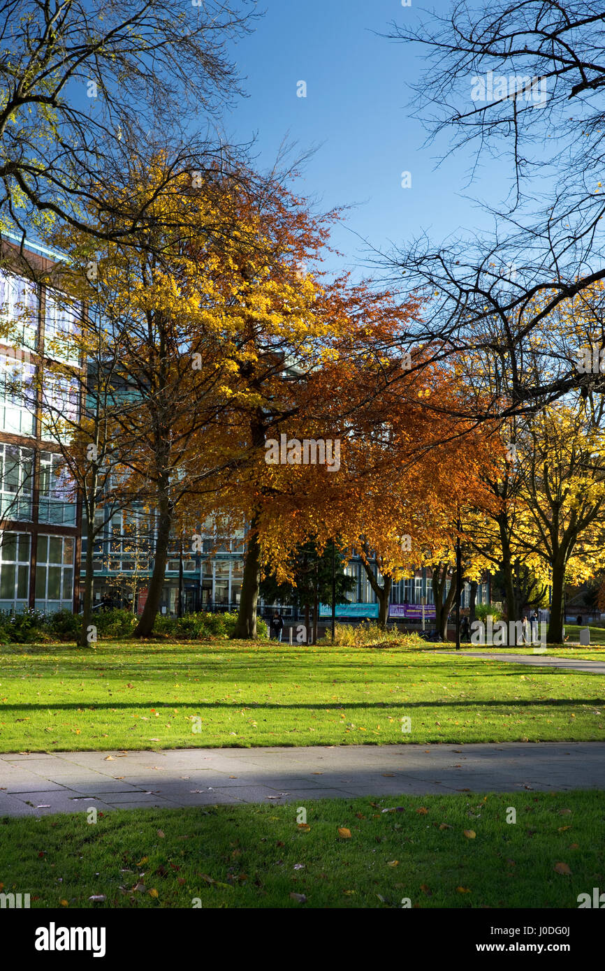 University of manchester main campus hi-res stock photography and ...