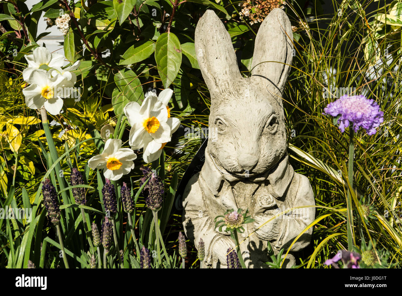 Beatric potter hi-res stock photography and images - Alamy