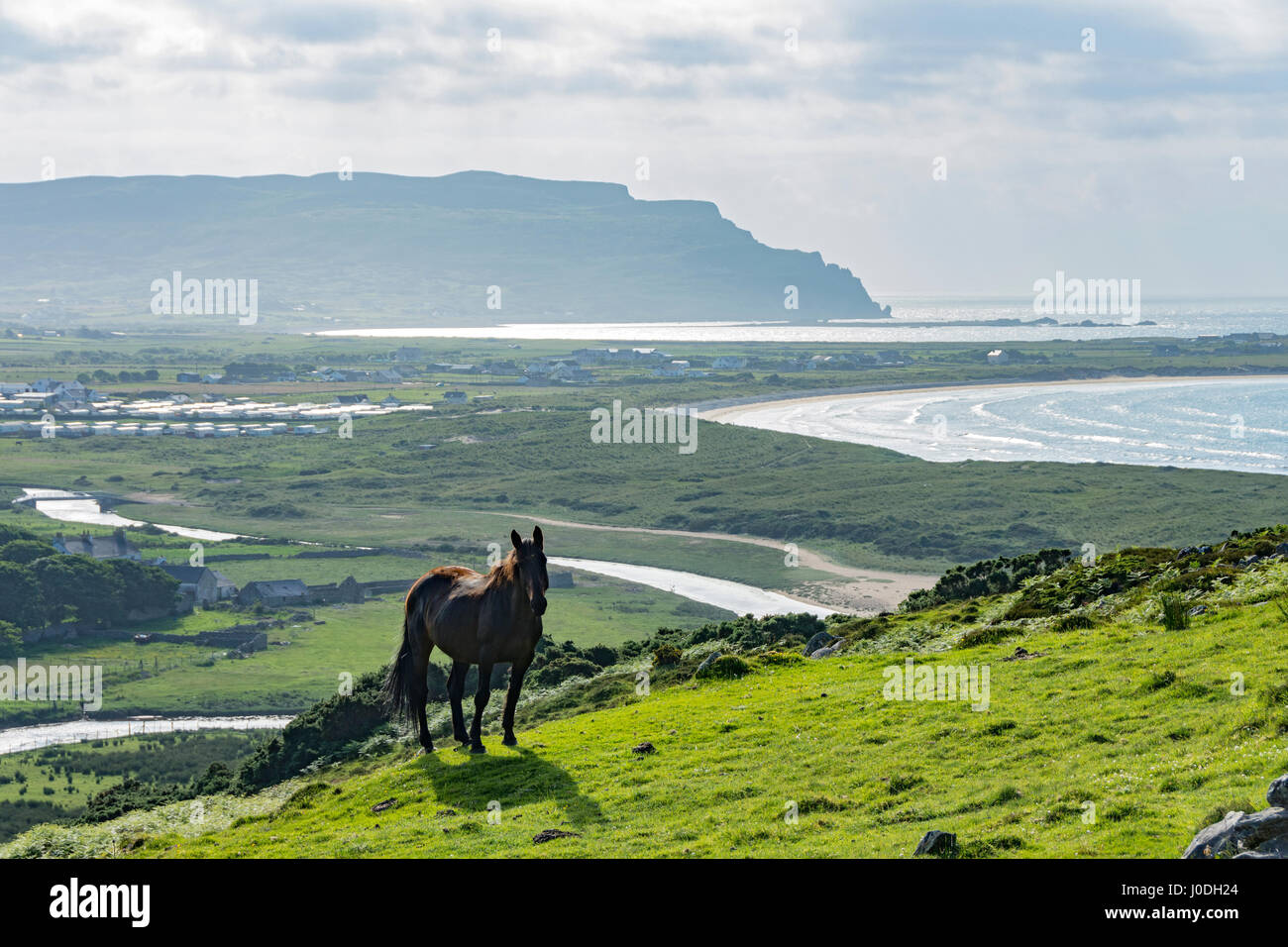 Dunaff head donegal hi-res stock photography and images - Alamy