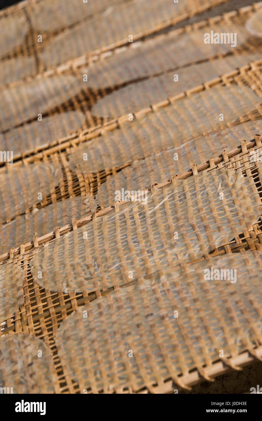 Vertical view of traditional rice paper drying in the sunshine in ...