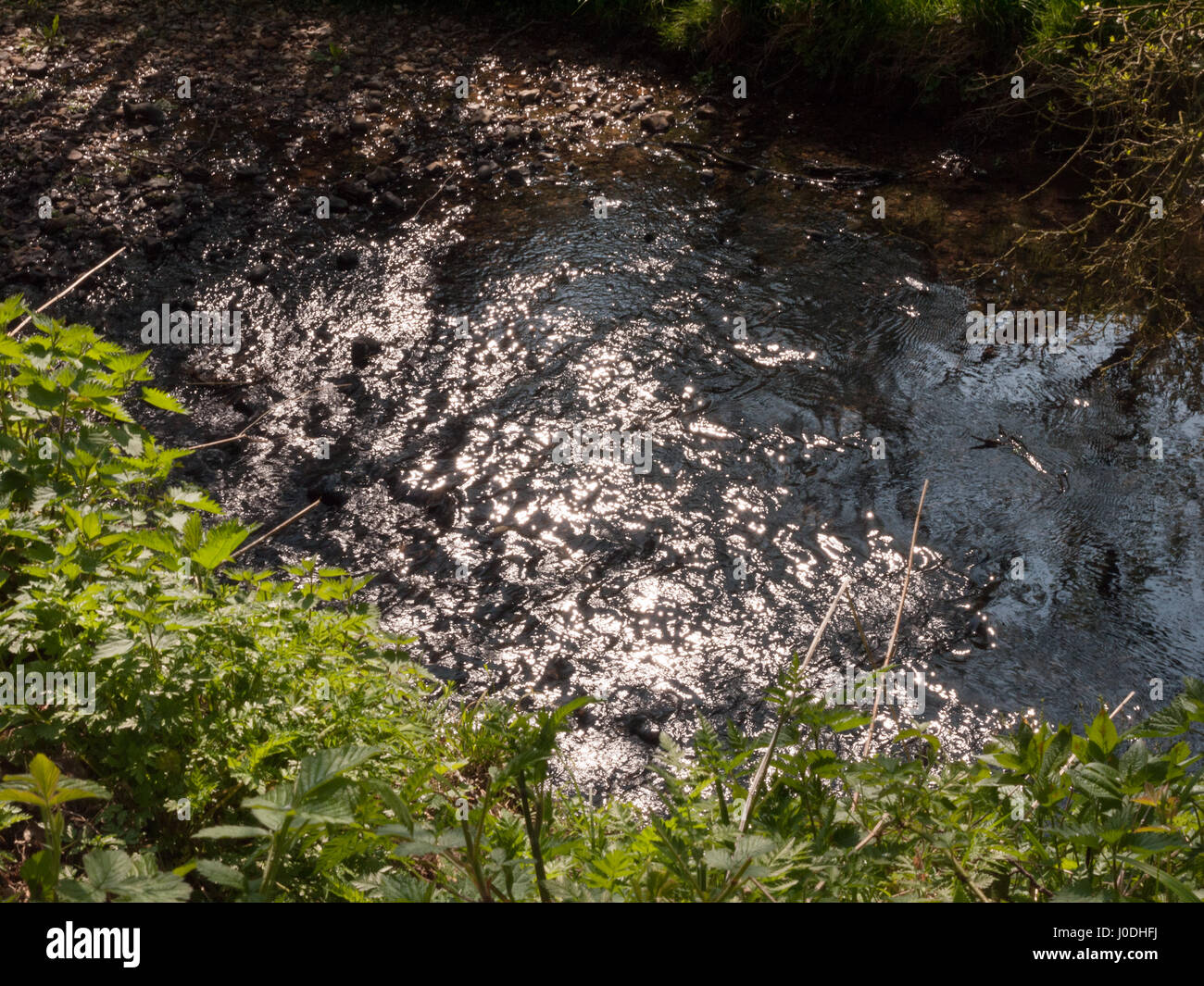 An overhead shot of a running stream Stock Photo - Alamy