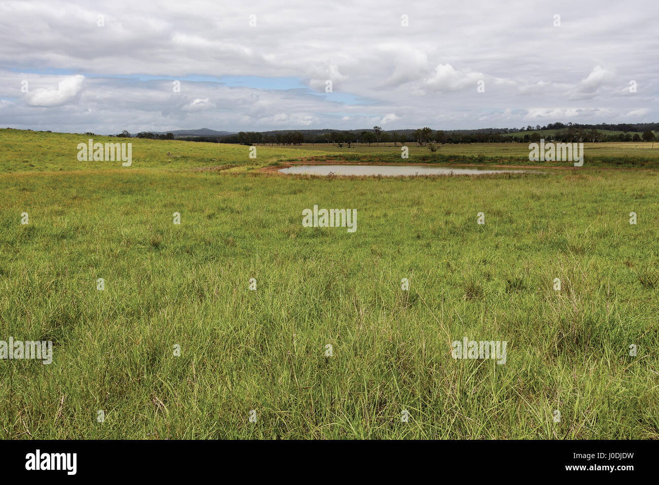 undulating field with dam Stock Photo - Alamy