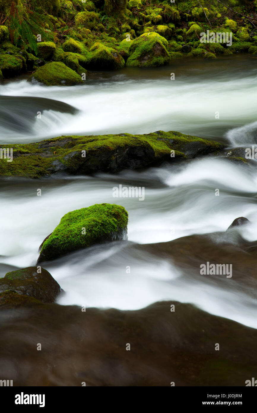 Nestucca River State Scenic Waterway at Fan Creek confluence, Nestucca ...
