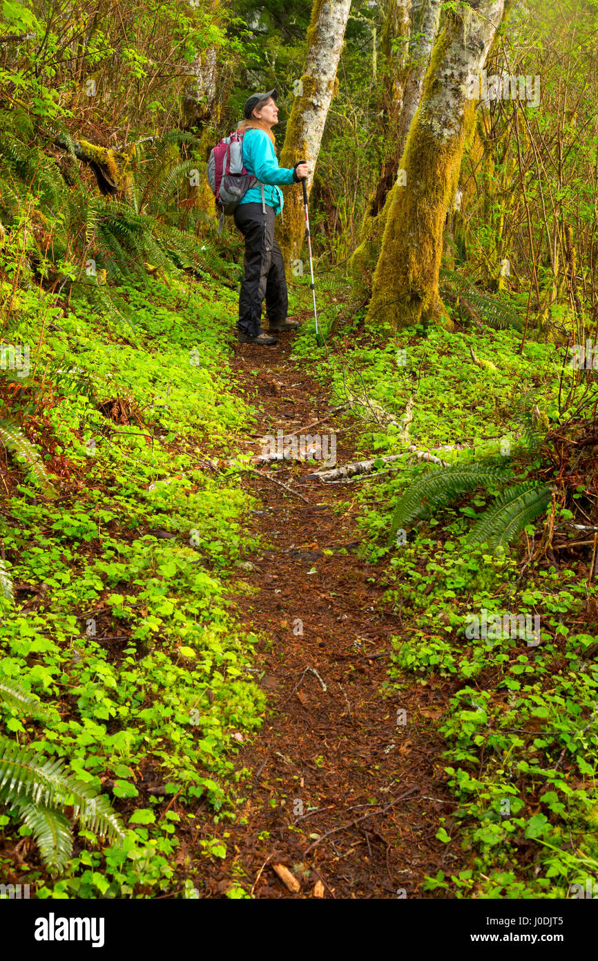 Battle Lake Trail, Siuslaw National Forest, Oregon Stock Photo - Alamy