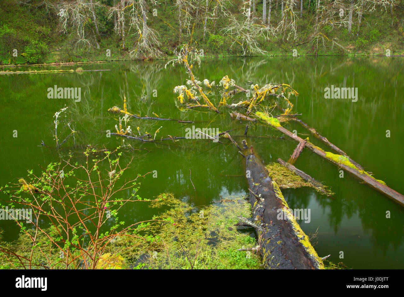 Battle lake hi-res stock photography and images - Alamy
