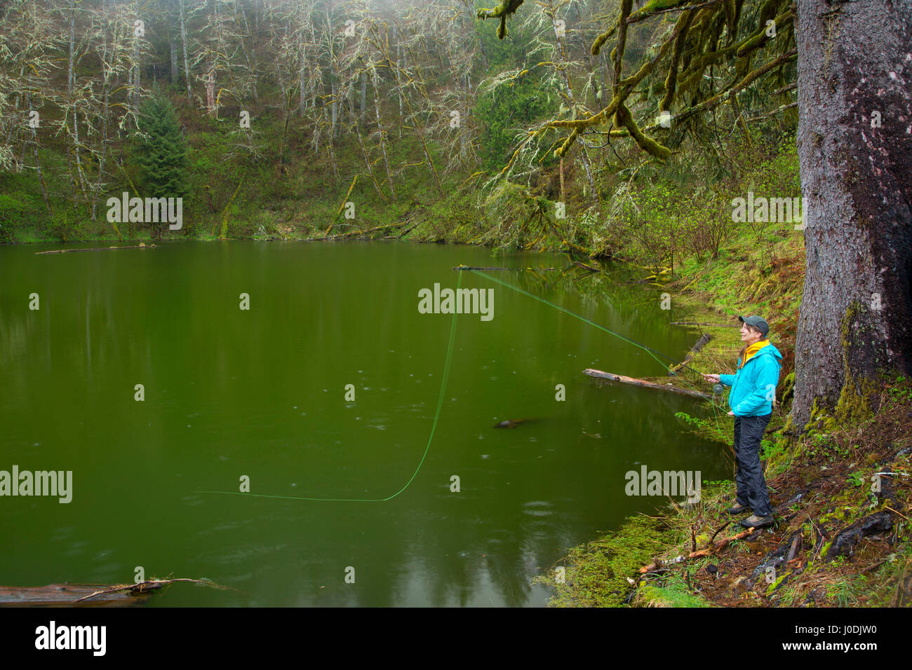 Battle Lake Trail High Resolution Stock Photography and Images - Alamy