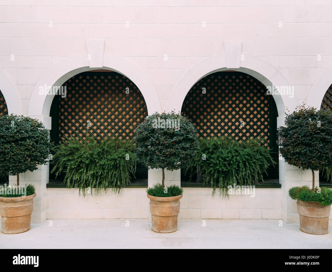 Small trees in pots hi-res stock photography and images - Alamy