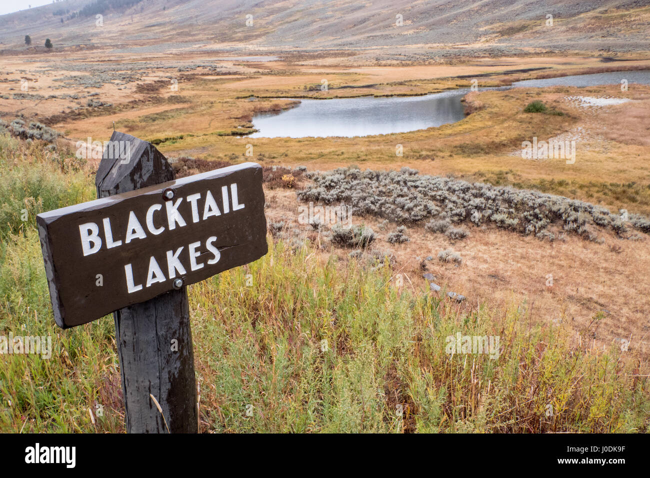 Landscape grasses yellowstone national hi-res stock photography and ...