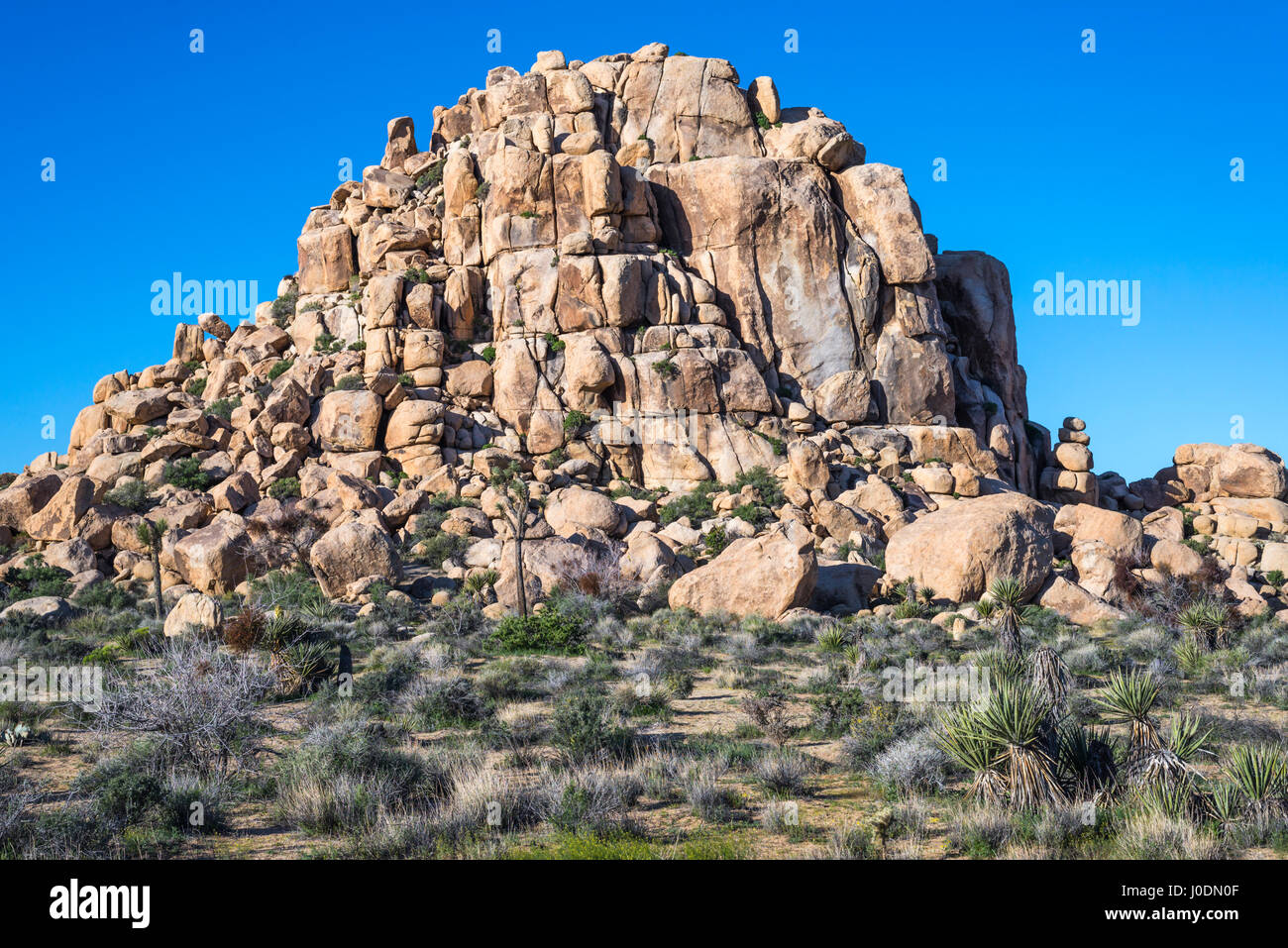 Rock tree landscape hi-res stock photography and images - Alamy