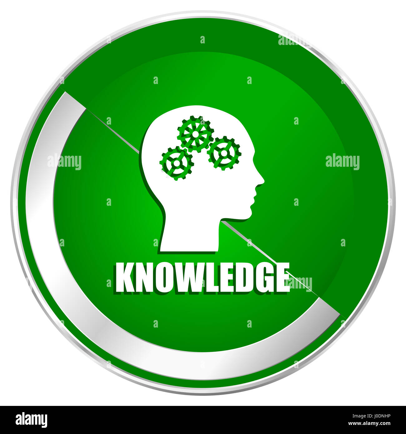 Knowledge silver metallic border green web icon for mobile apps and ...
